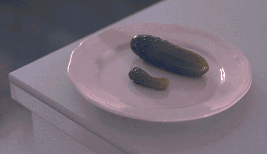 Pickle plate gherkins dralms GIF en GIFER - de Ghozius