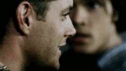 Raphael GIF - Find on GIFER