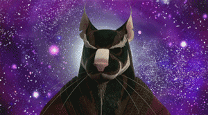 Tmnt splinter GIF - Find on GIFER