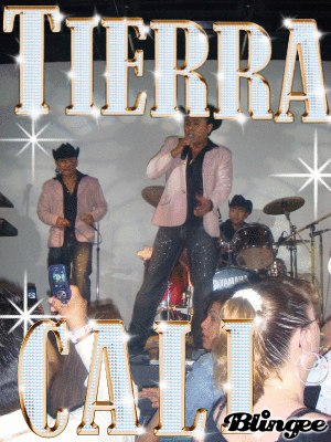 GIF cali - animated GIF on GIFER
