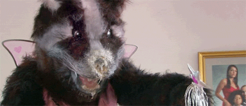 Badger GIF on GIFER - by Mauhn