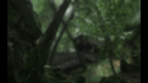 GIF game gaming battlefield 1 - animated GIF on GIFER