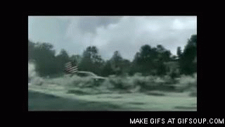 Murica GIF - Find on GIFER