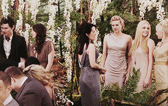 GIF the twilight saga denali - animated GIF on GIFER