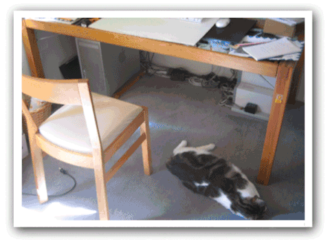 GIF desk - animated GIF on GIFER