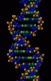 Challenge Accepted Gif