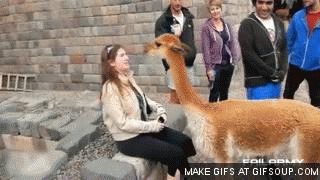 Spit GIF - Find on GIFER