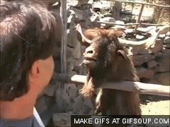 Spit GIF - Find on GIFER