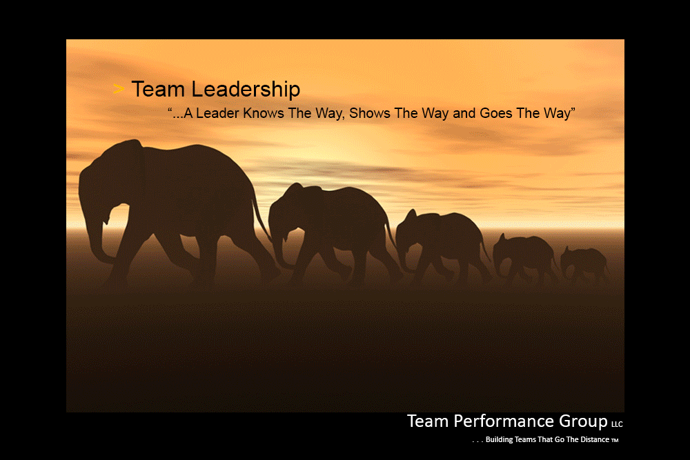 Performance GIF - Find on GIFER