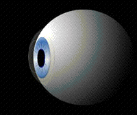 Vision GIF - Find on GIFER