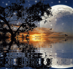Landscape GIF - Find on GIFER