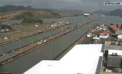 GIF canal - animated GIF on GIFER