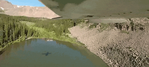 Fish planes GIF on GIFER - by Adoginn