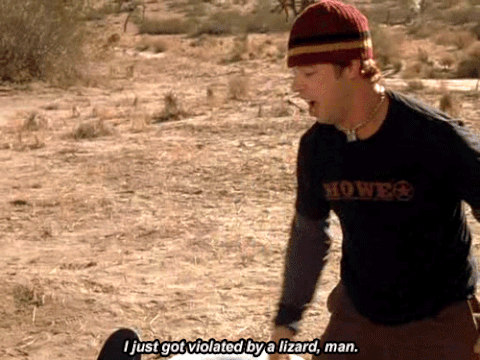 GIF grind - animated GIF on GIFER