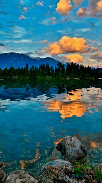 Live Nature Wallpaper Gif
