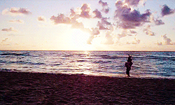 Step up revolution GIF - Find on GIFER