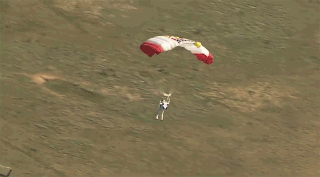 Jump GIF - Find on GIFER