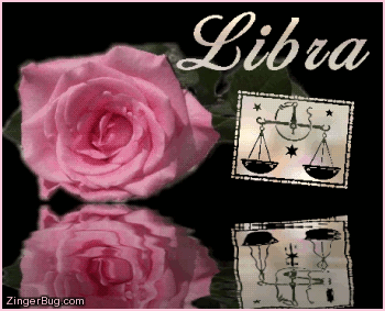 Libra GIF - Find on GIFER
