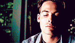 Pourquoi Gif Docteur Who