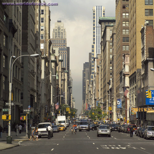 GIF nyc - animated GIF on GIFER