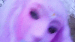 Affection GIF - Find on GIFER