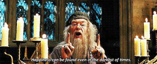 Albus dumbledore GIF - Find on GIFER