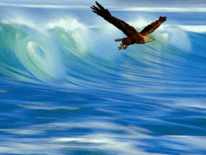 GIF fly - animated GIF on GIFER