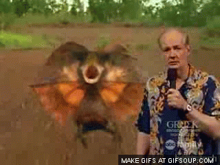 Drinking applause GIF on GIFER - by Kezil