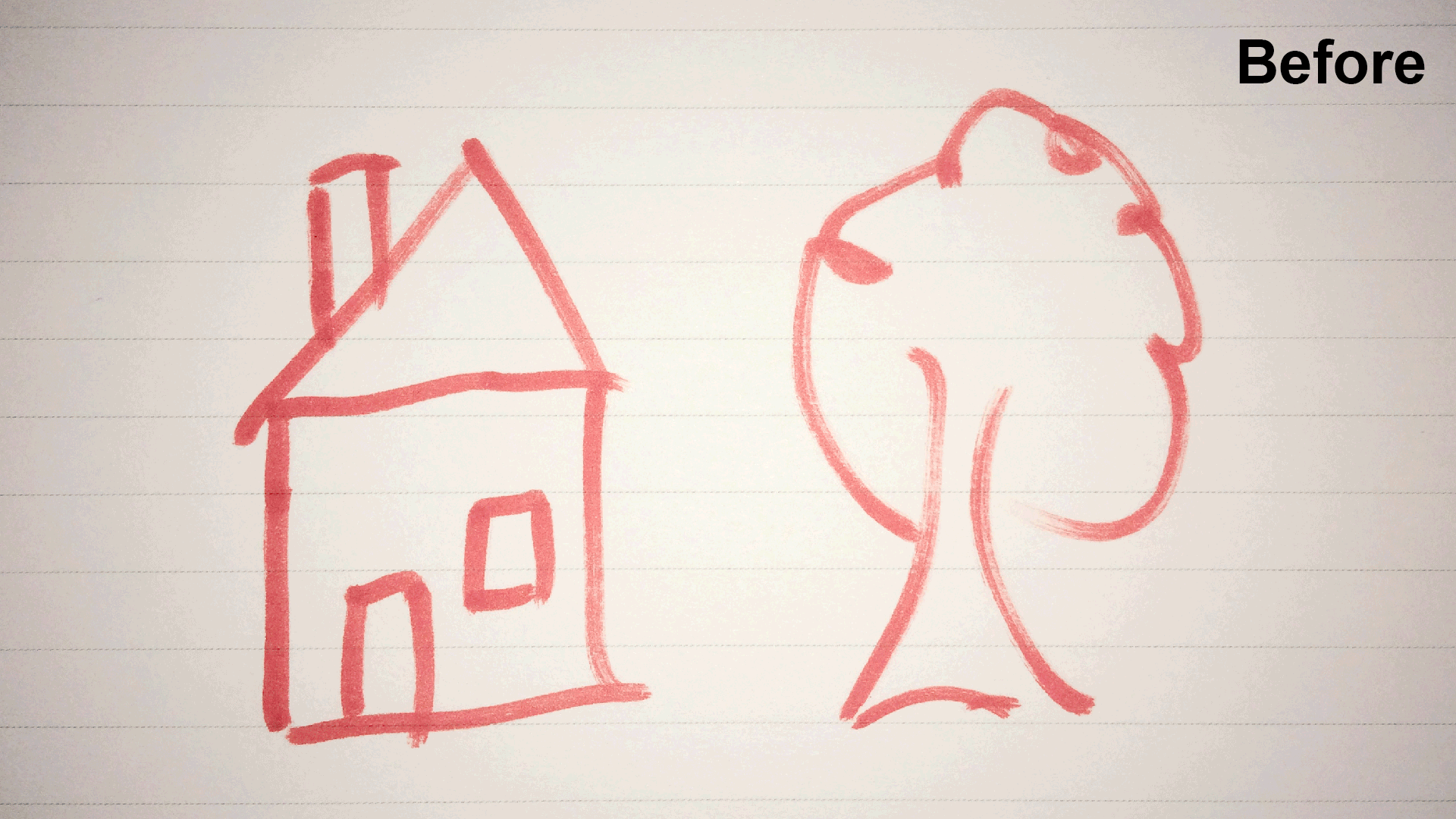 Before and after GIF - Find on GIFER