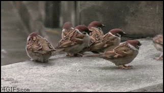 Time recess GIF - Find on GIFER