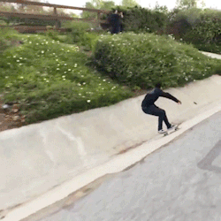 Cali GIF - Find on GIFER