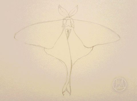 Wip GIF - Find on GIFER