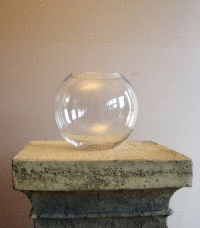Bowl GIF - Find on GIFER