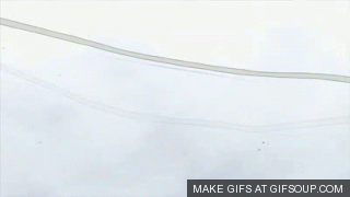 Rope GIF - Find on GIFER