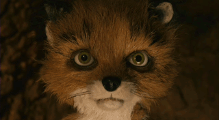 Fox GIF - Find on GIFER