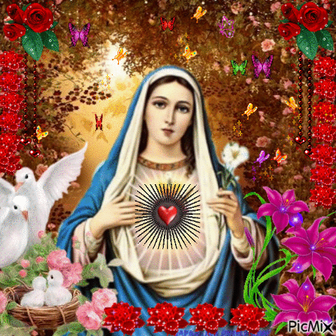 GIF maria - animated GIF on GIFER