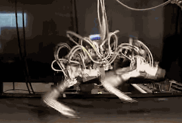 GIF content - animated GIF on GIFER