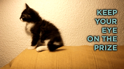 GIF confident - animated GIF on GIFER