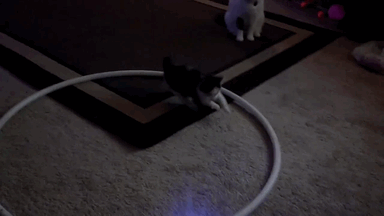 Hula hoop GIF - Find on GIFER