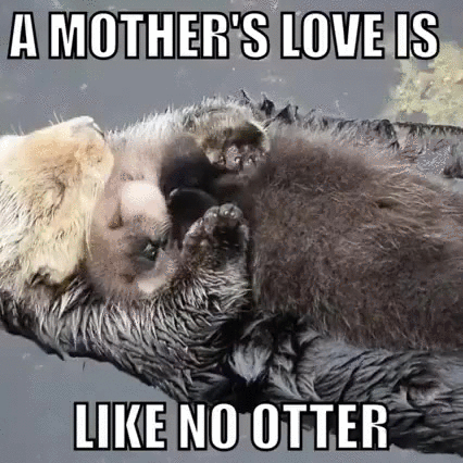 Overload GIF - Find on GIFER