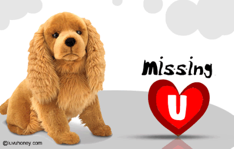 Missing GIF - Find on GIFER