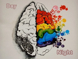 GIF insomnia - animated GIF on GIFER