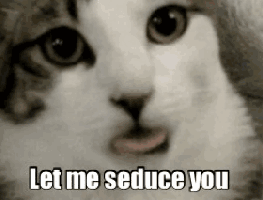 GIF made by me - animated GIF on GIFER