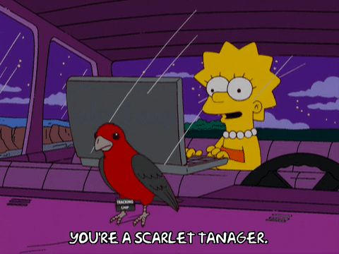 GIF lisa simpson episode 2 season 20 - animated GIF on GIFER