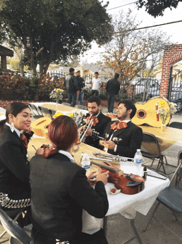 Oracle GIF - Find on GIFER