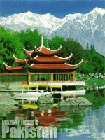 Pakistan GIF - Find on GIFER