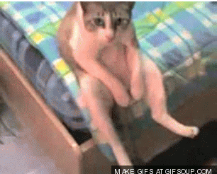 Comedies GIF - Find on GIFER