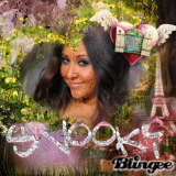 Snooki GIF - Find on GIFER