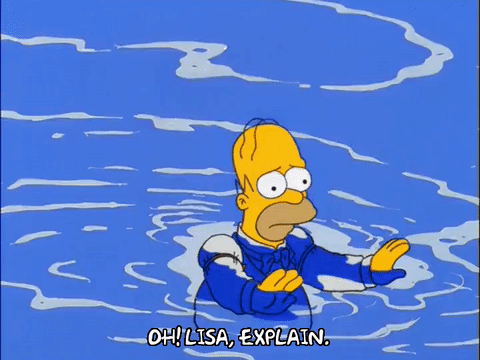 Crow GIF - Find on GIFER