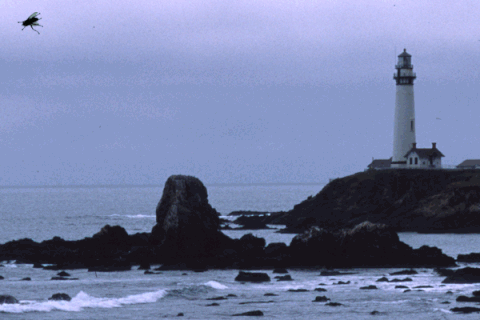 Point GIF - Find on GIFER